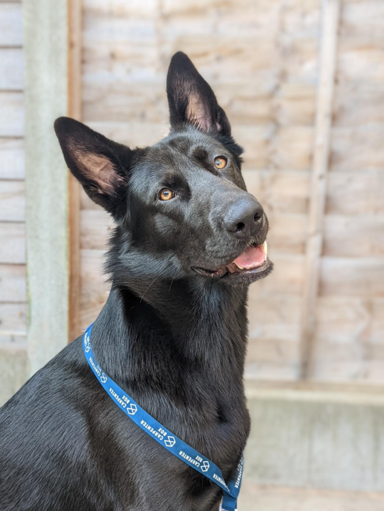 Blue Monday at Carpenter Box | Carpenter Box